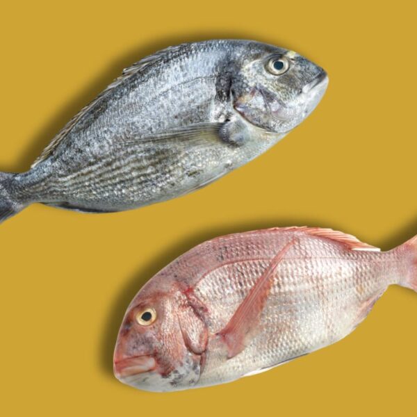Pescados blancos: guía para elegir tilapia, lenguado y robalo